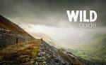 Wild Guide Wales and Marches book - Wild Things Publishing